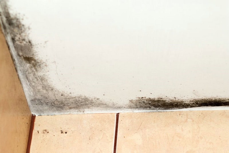 Why Is My Wooden Furniture Going Mouldy? How to Remove Mold ...
